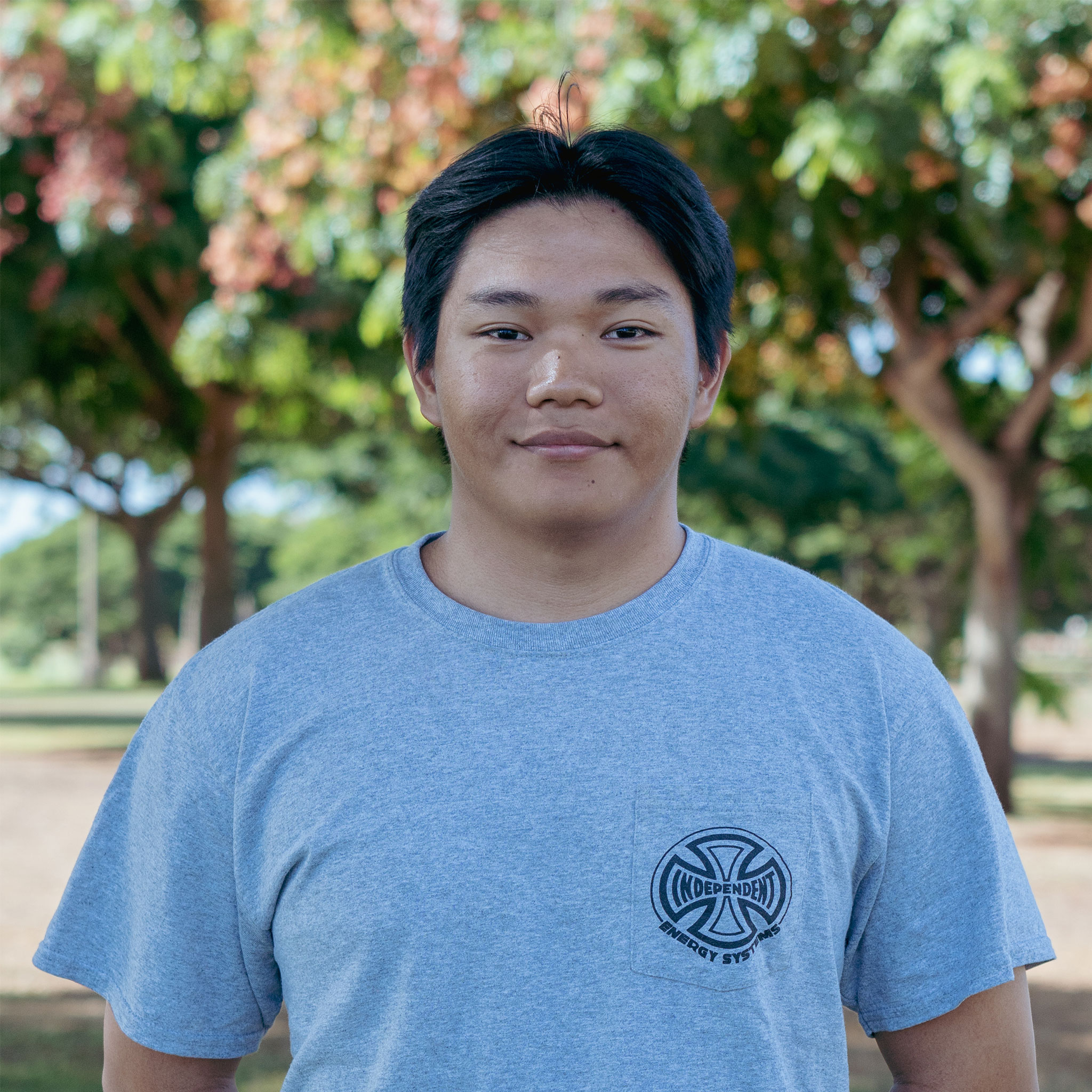 Top Solar Company in Hawaii | Independent Energy Hawaii